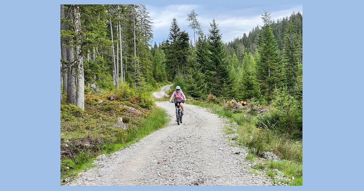 Mountainbiken in Filzmoos